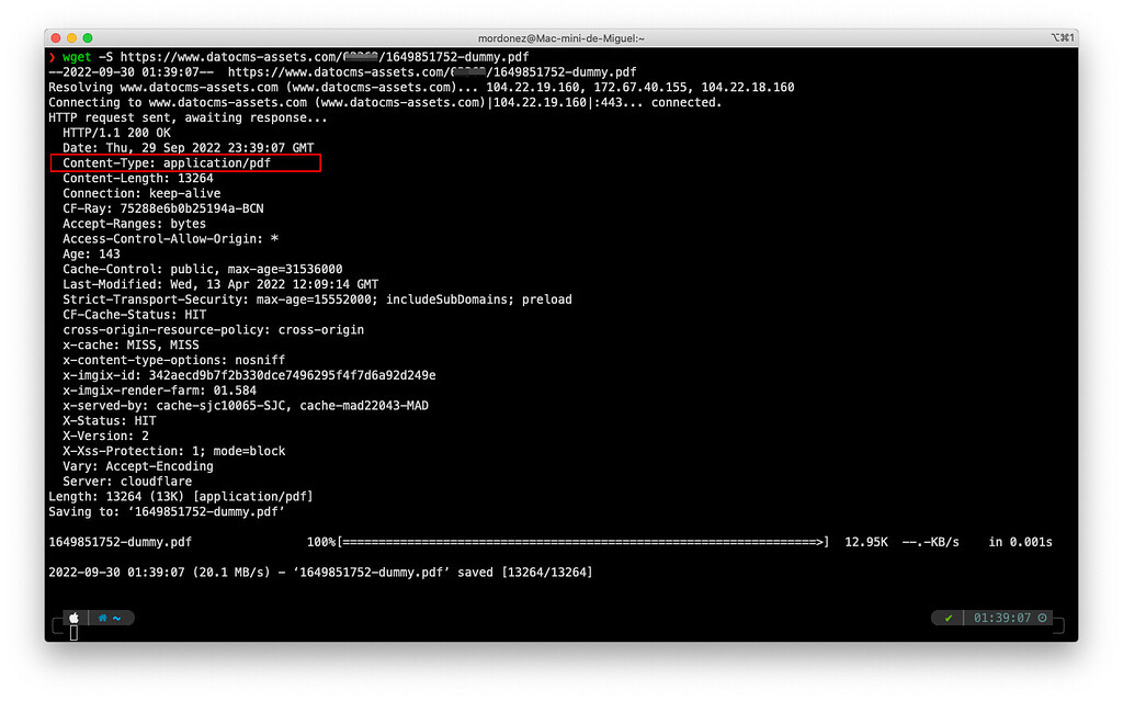 Get An Image If Passes Query Parameters To A Pdf Url 🆘 Support Datocms Community 